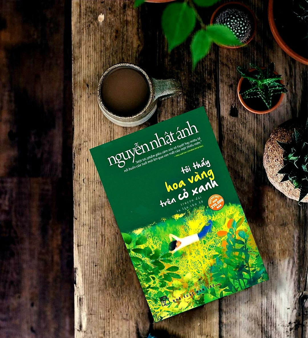 Văn Học Việt Nam – Tiemsachtanbinh